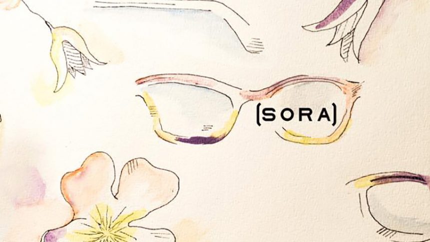 EyeRep – Deborah Tollefson – Multi Line Frame Representative – I am an ...